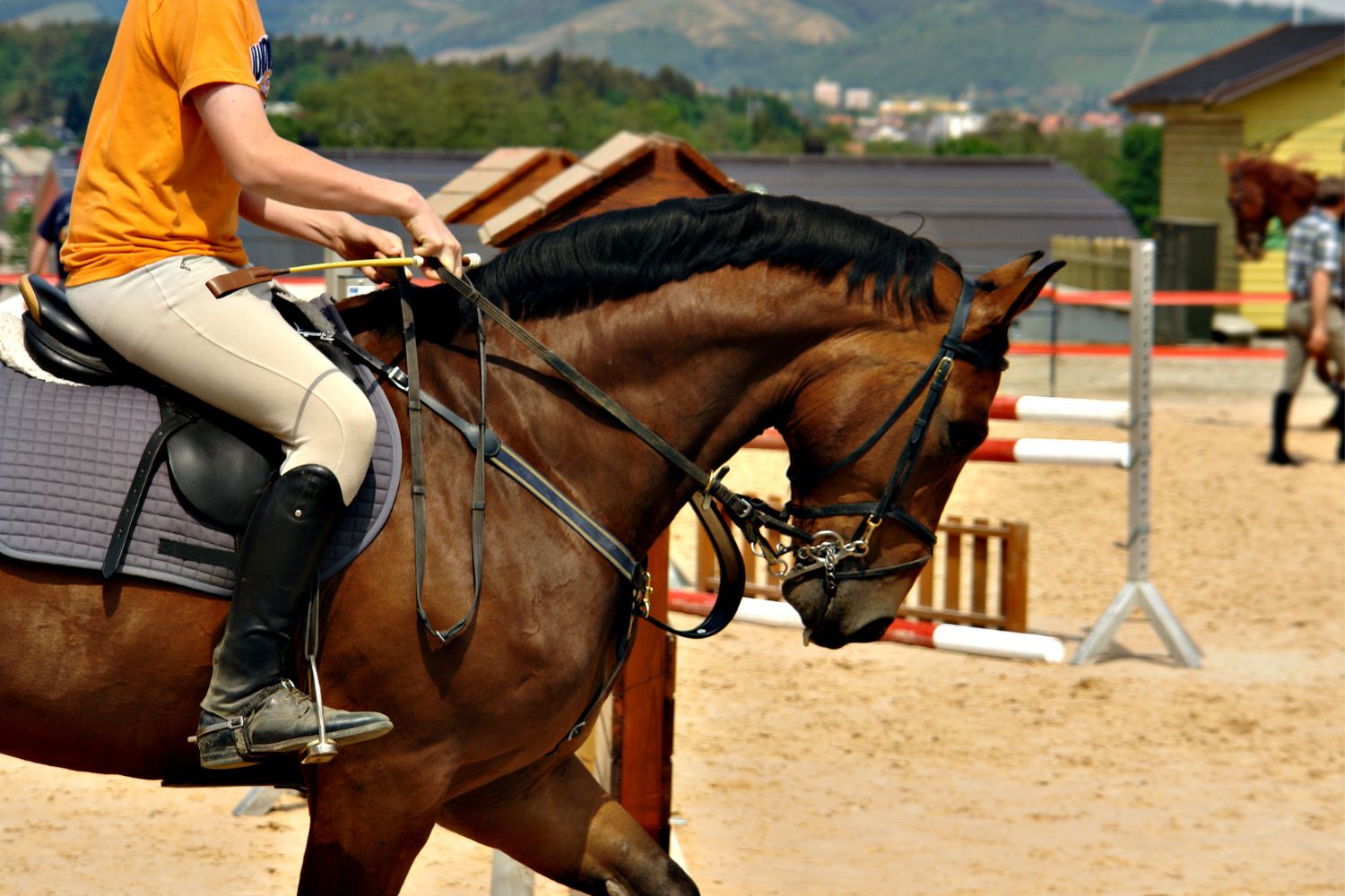 How to Choose Your Horse Riding Boots?