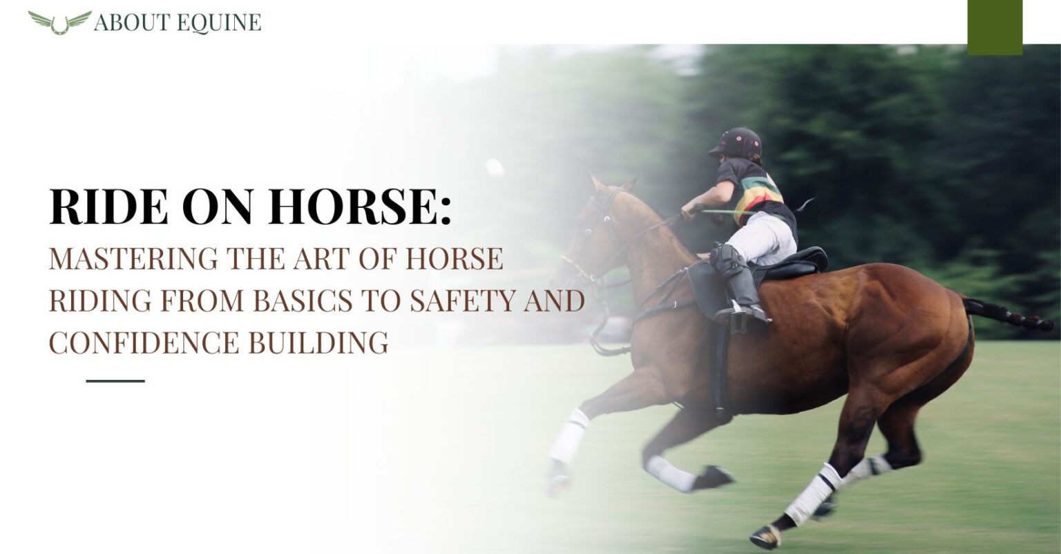 Ride On Horse: Mastering the Art of Horse Riding from Basics to Safety ...
